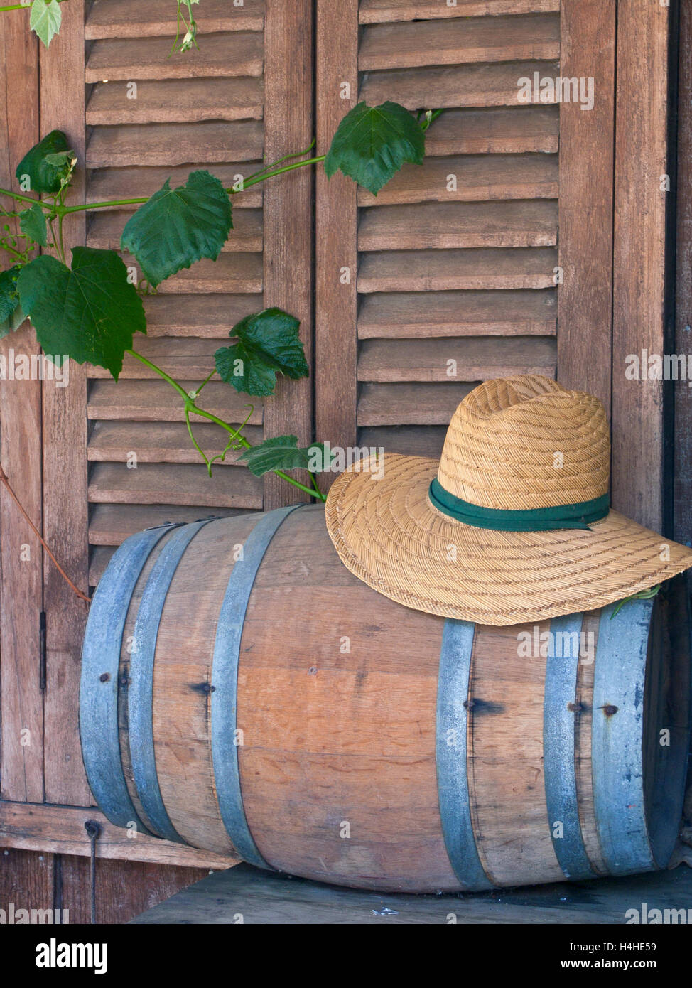 Concept wine making image of straw hat on wine barrel with window ...