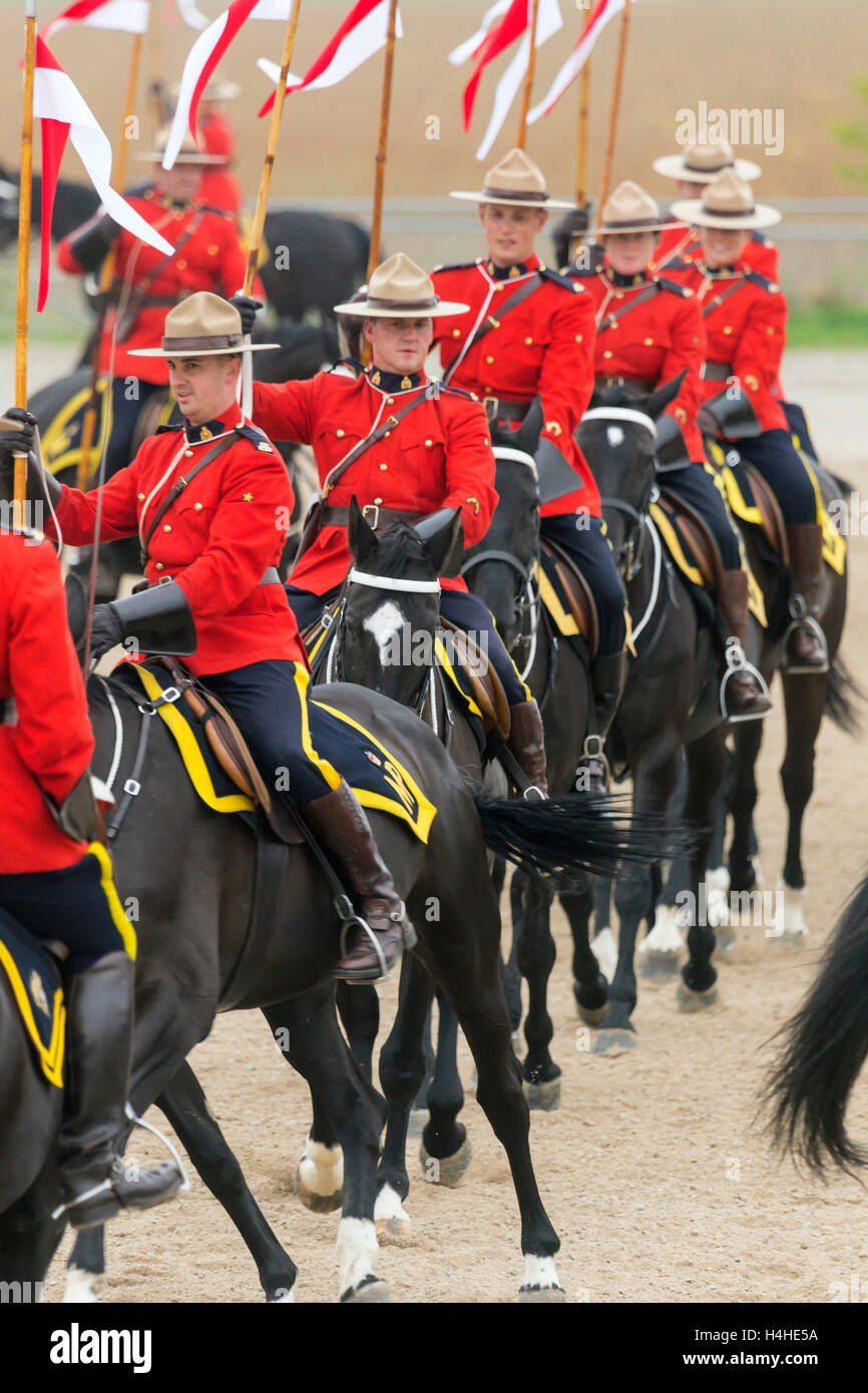 Rcmp on his horse hi-res stock photography and images - Alamy