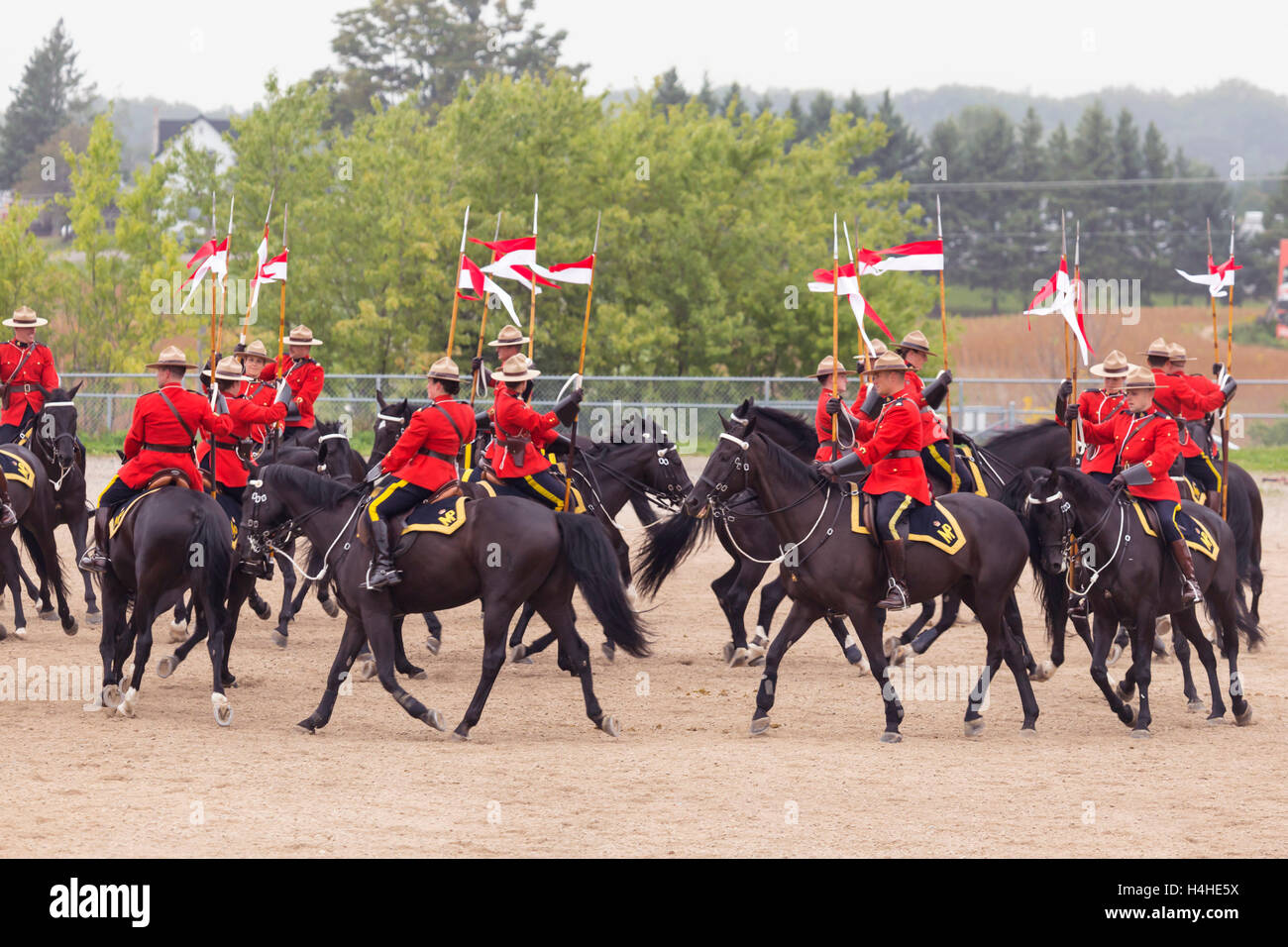 Our proud RCMP performing their Musical Ride performance at the ...