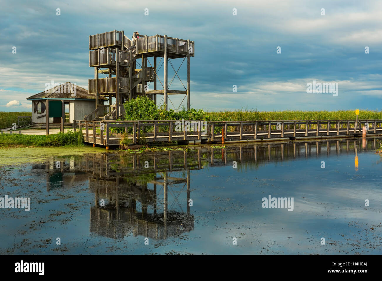 Point pelee national park hi-res stock photography and images - Alamy
