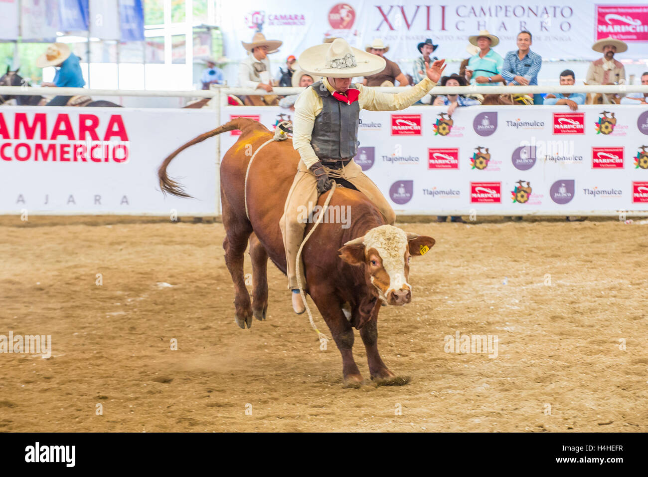 Charro Participates in a bull riding Competition at the 23rd ...