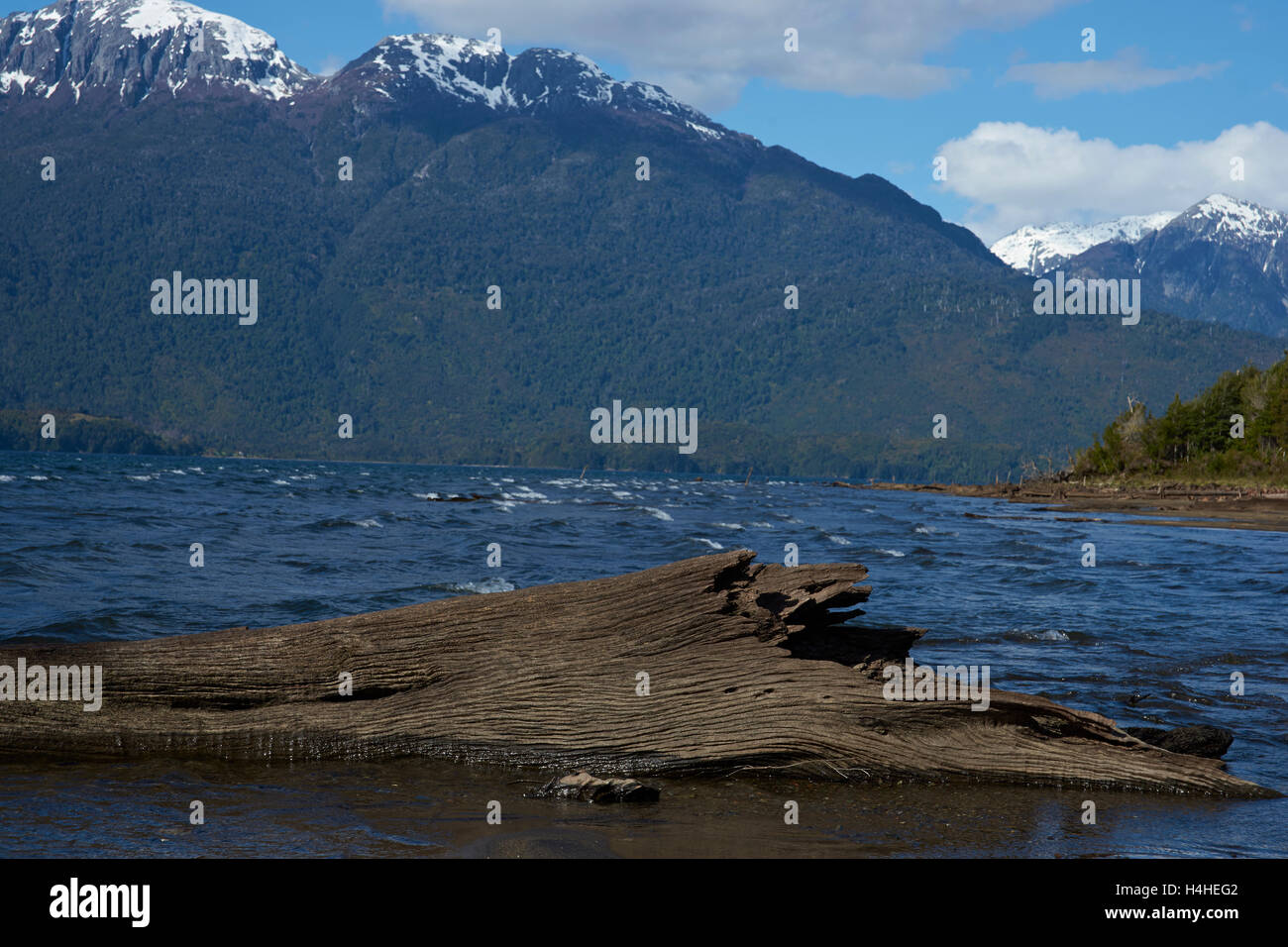 Lago Yelcho in Patagonia Stock Photo - Alamy