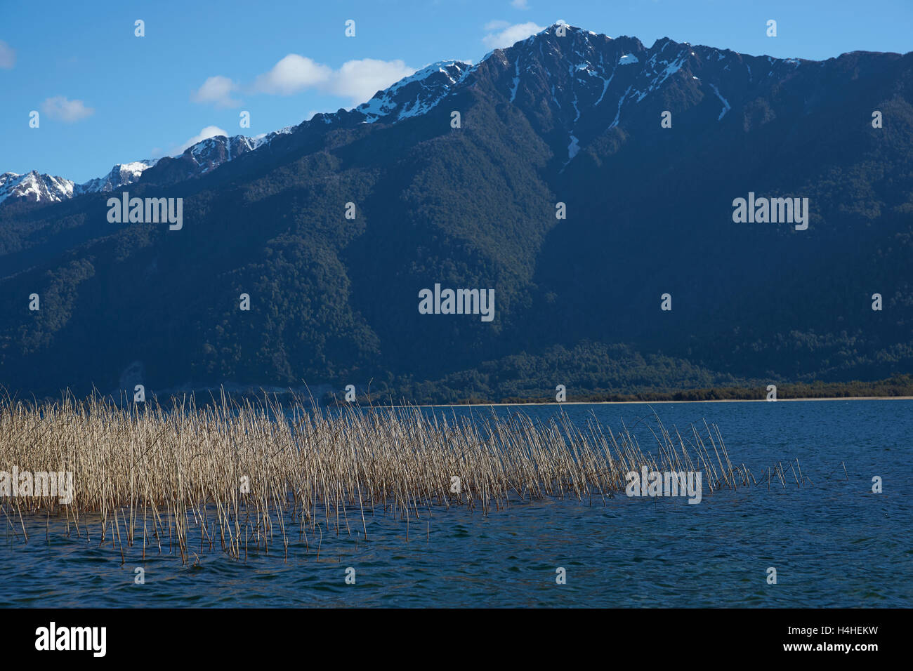 Lago Yelcho in Patagonia Stock Photo - Alamy