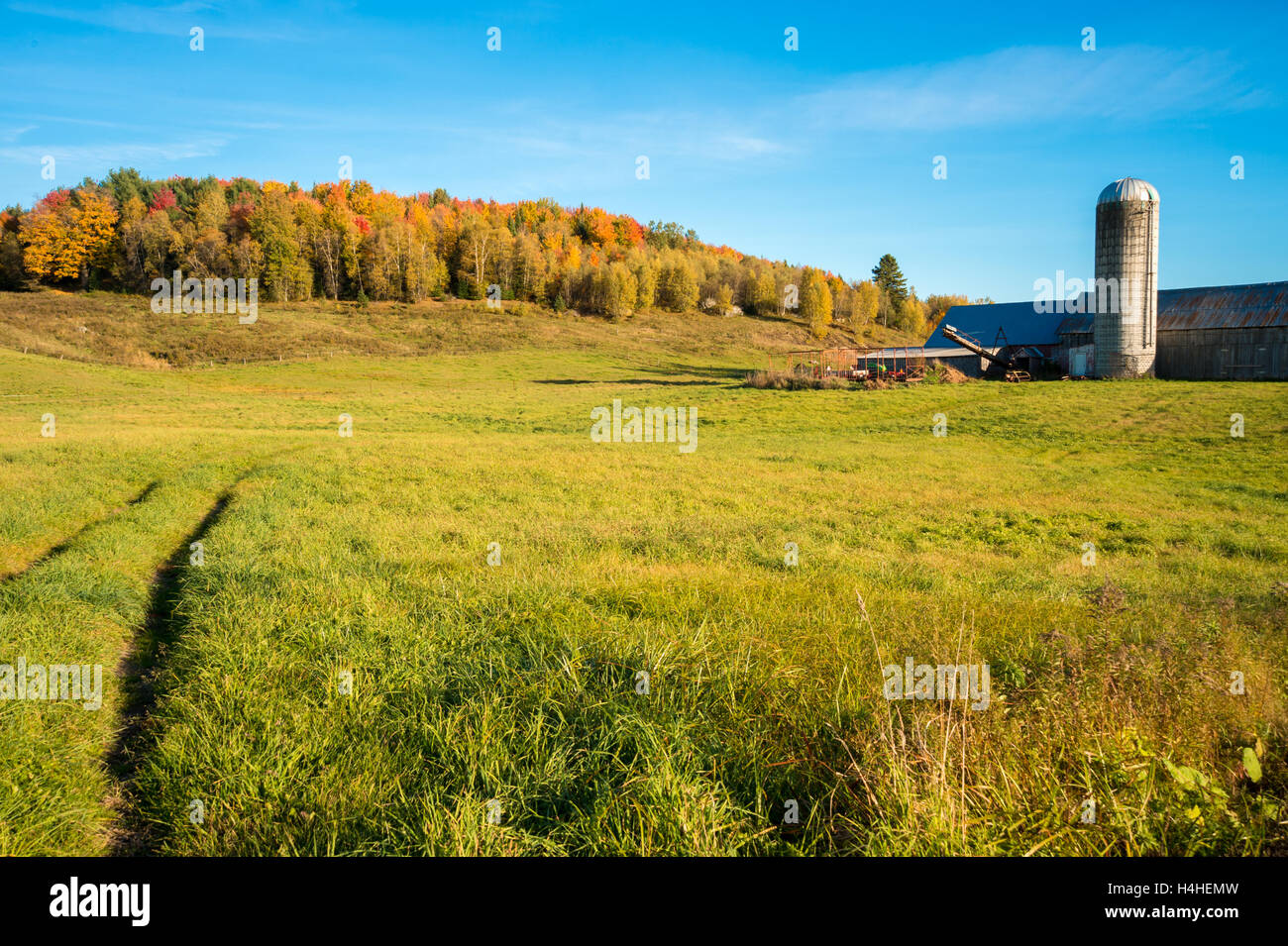 Saint jerome canada hi-res stock photography and images - Alamy
