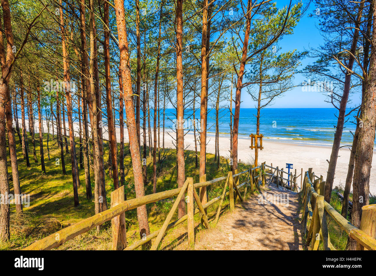 Baltic forest hi-res stock photography and images - Alamy