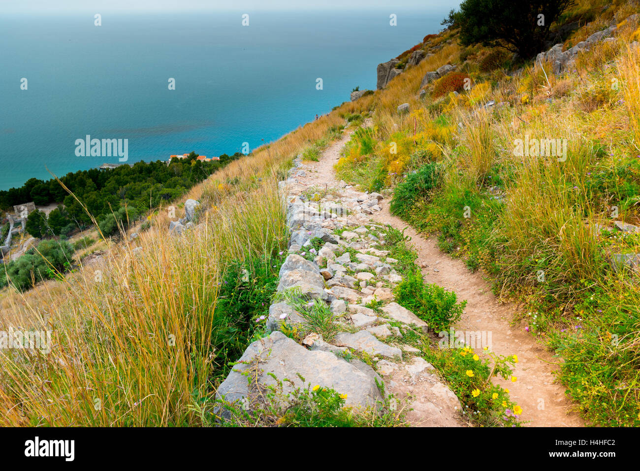 Landscape with trees and stones Stock Photo - Alamy