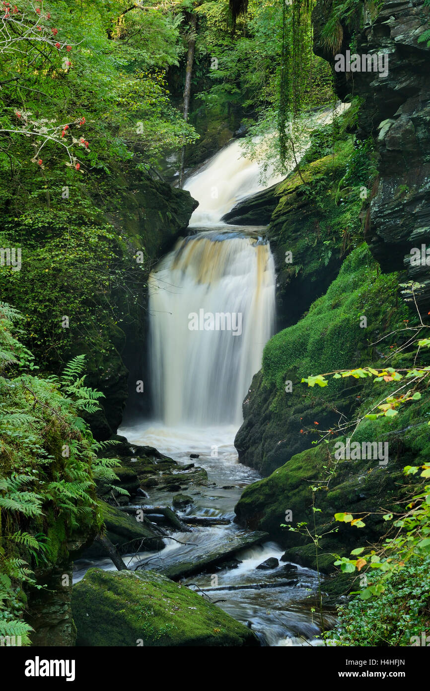 Afon Cynfal flowing through the Ceunant Cynfal National Nature Reserve ...