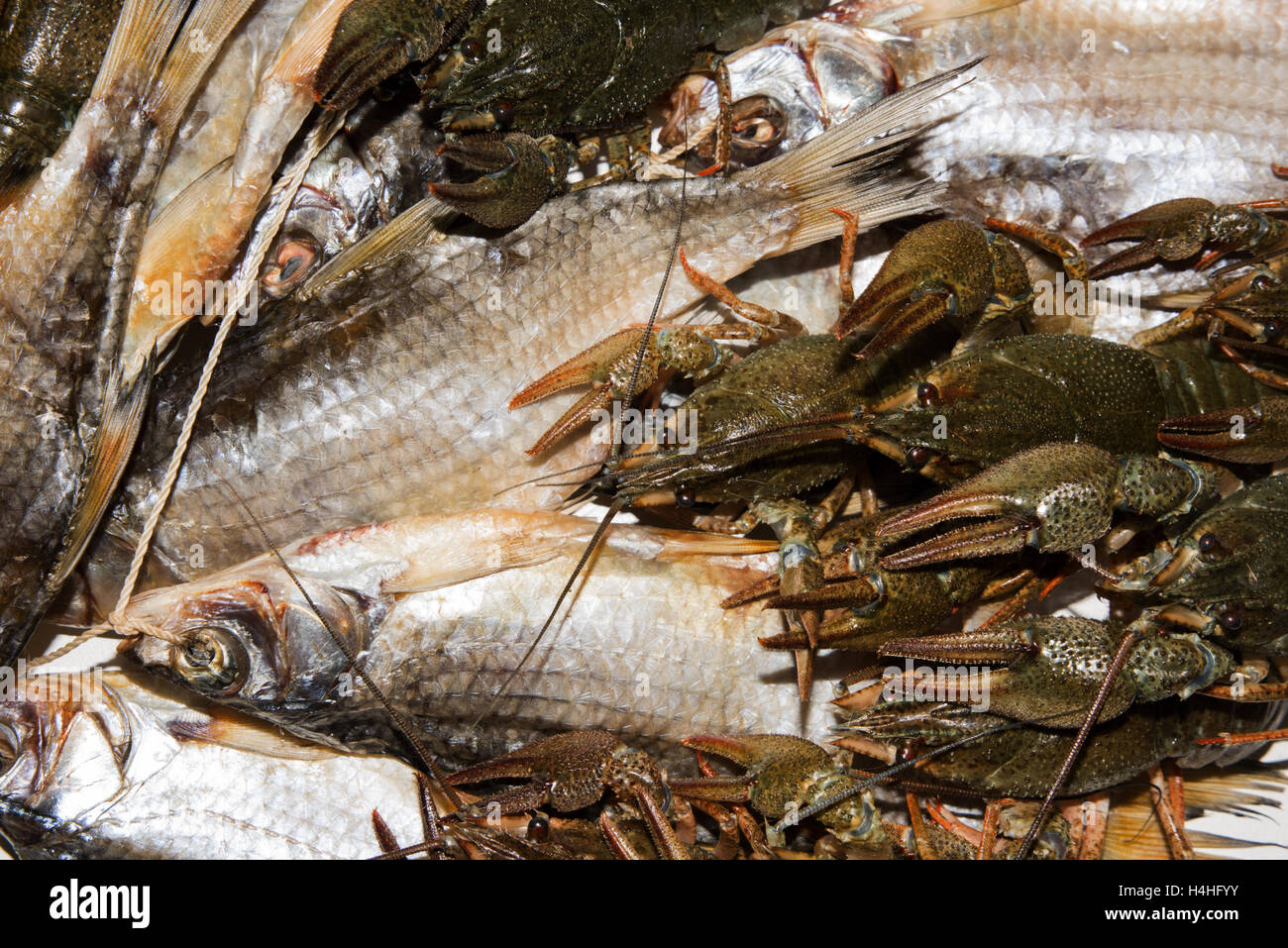 Dry fish and alive crayfish on white background. Dead dry salty fish ...
