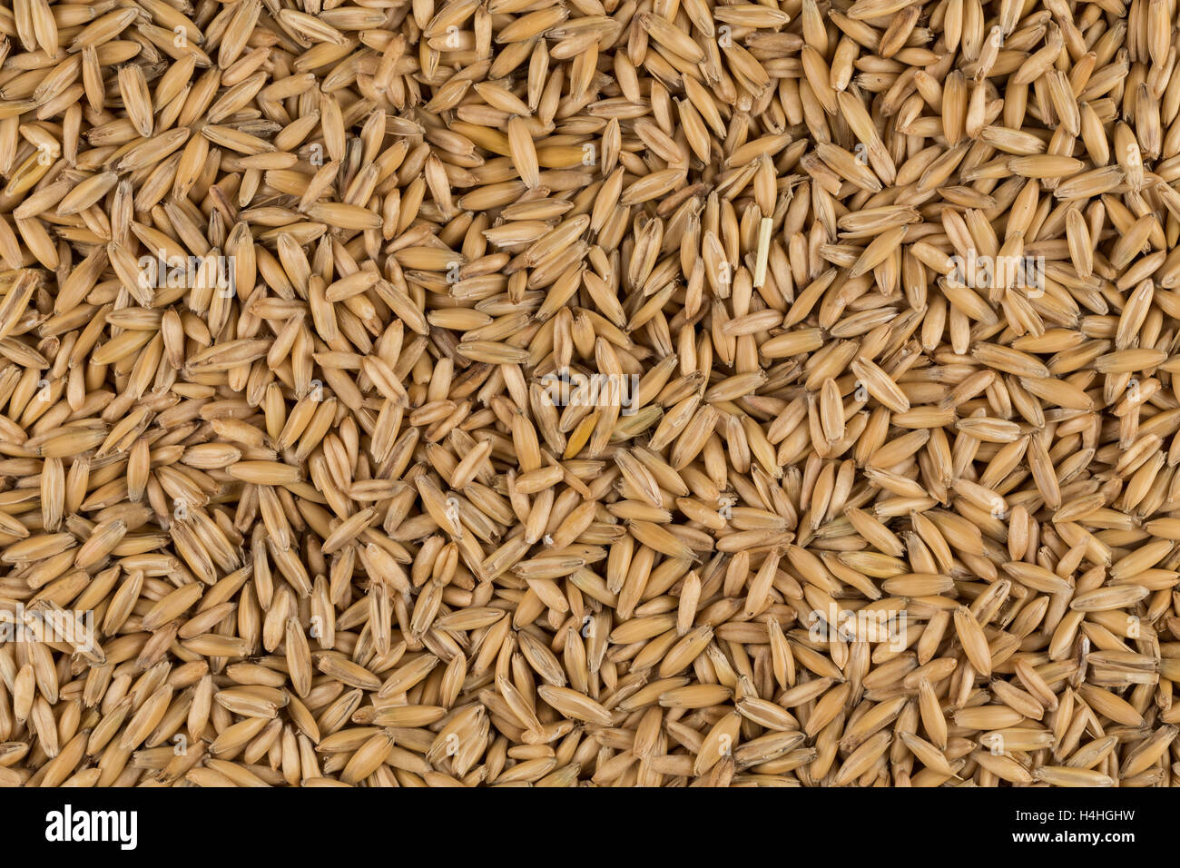 natural oat grains for background, close up shot Stock Photo - Alamy