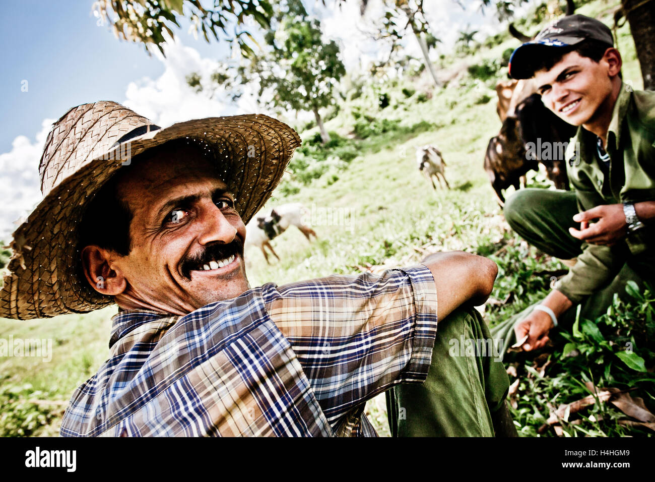Cuban farm man worker on farm Stock Photo - Alamy