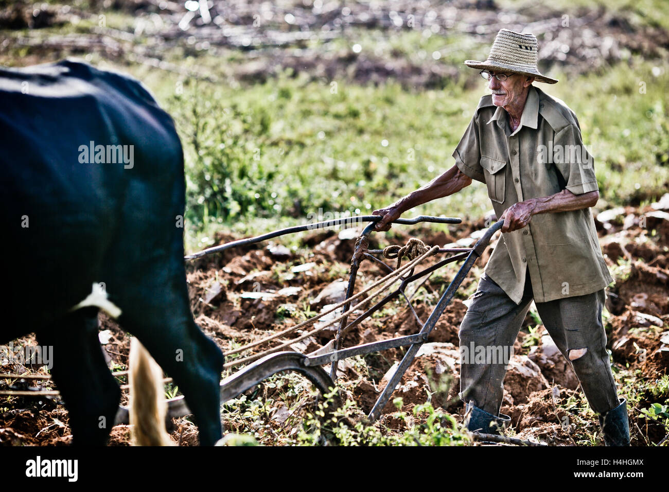 Native farm worker hi-res stock photography and images - Alamy