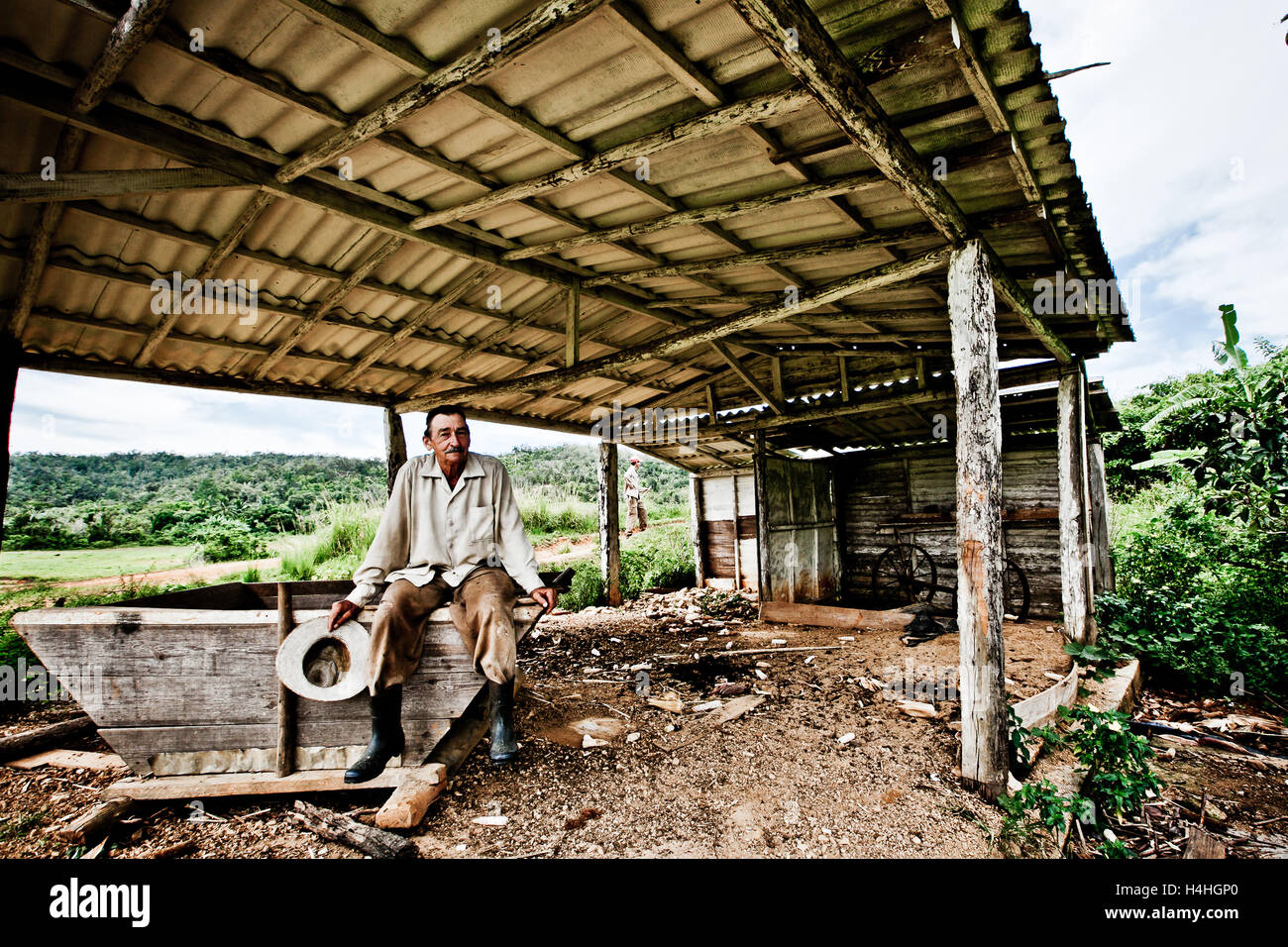 Cuban farm man worker on farm Stock Photo - Alamy