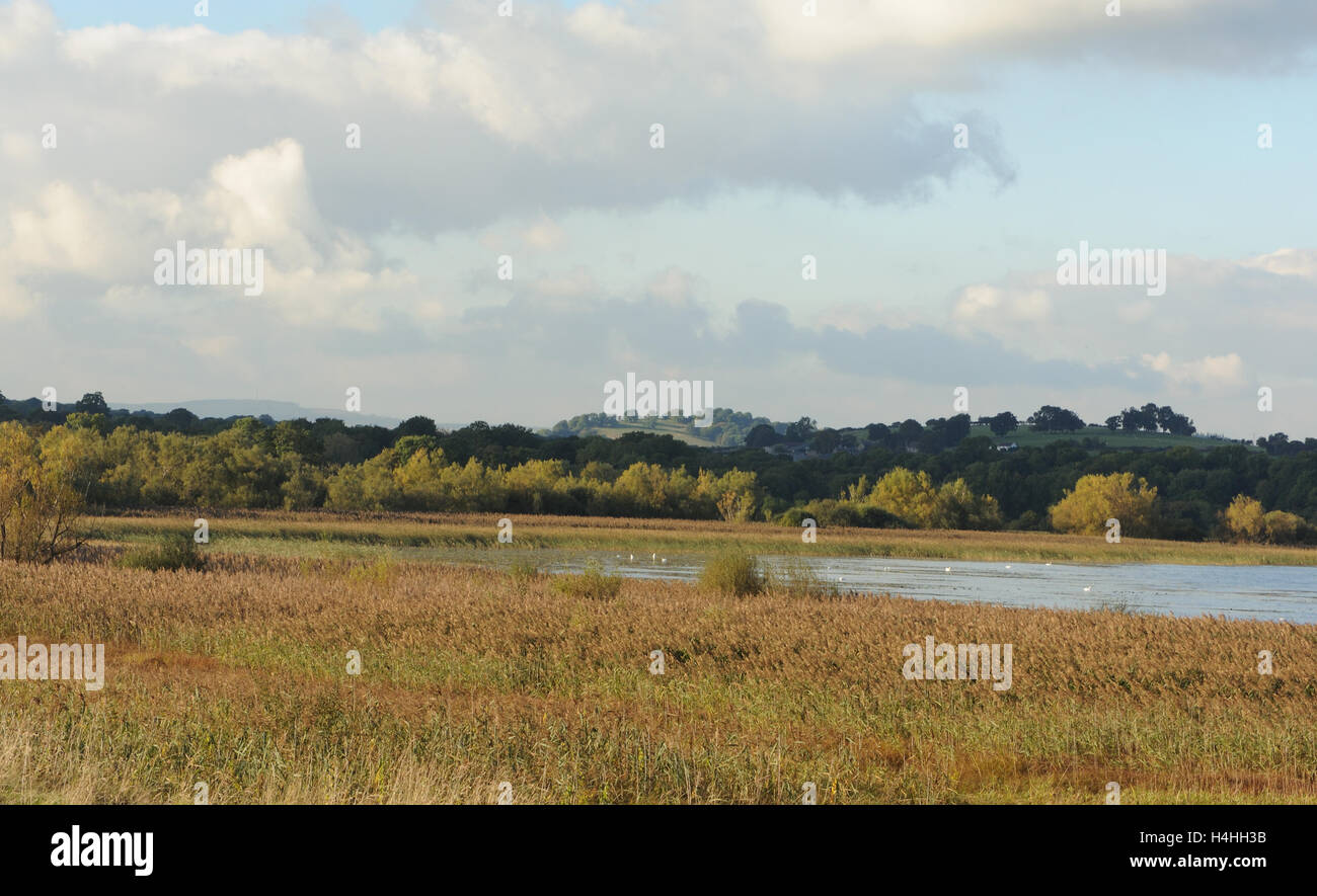 Llangorse Lake, Llyn Syfaddon or Syfaddan, the largest natural lake in ...