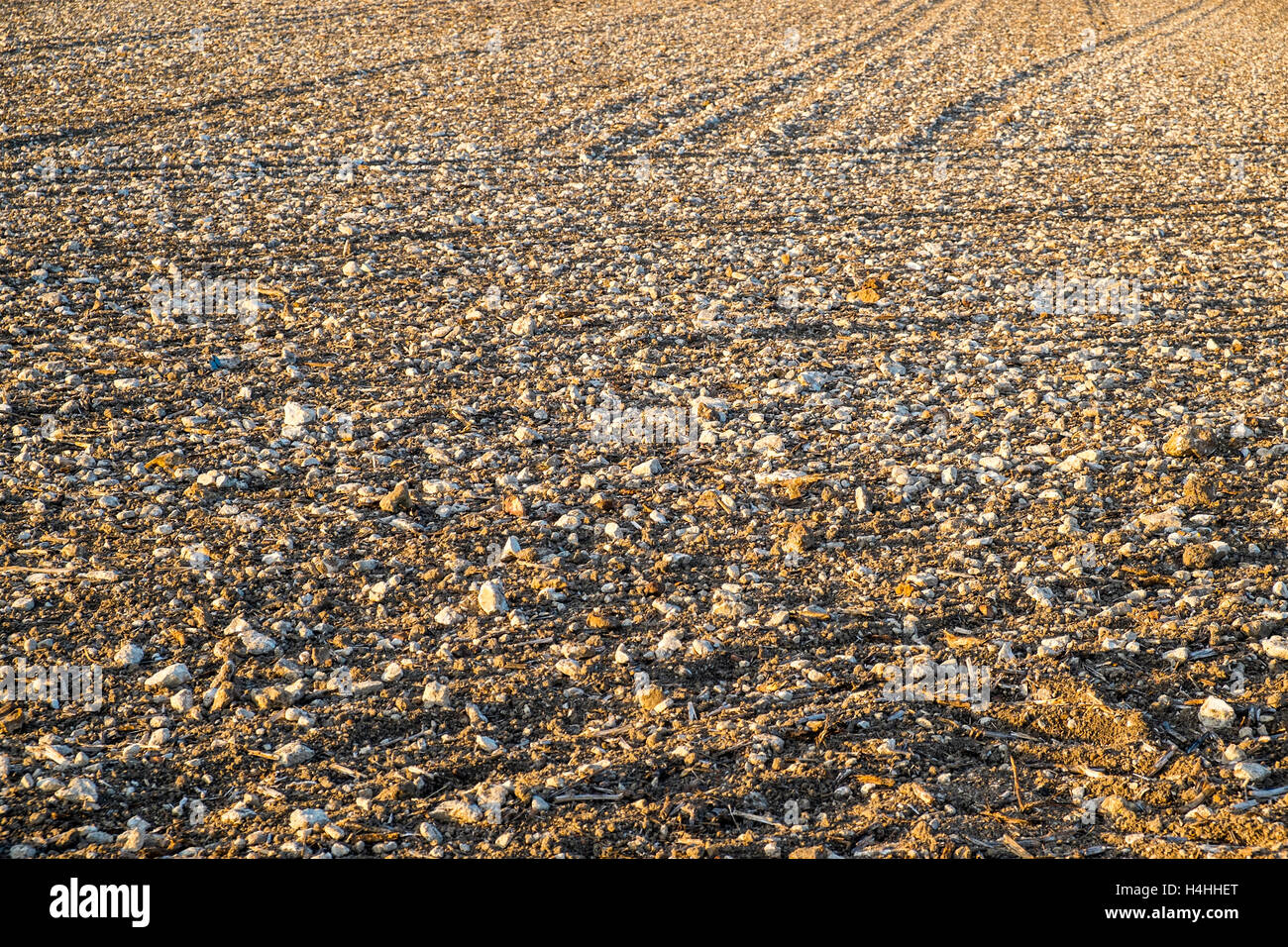 Seeding the ground hi-res stock photography and images - Alamy