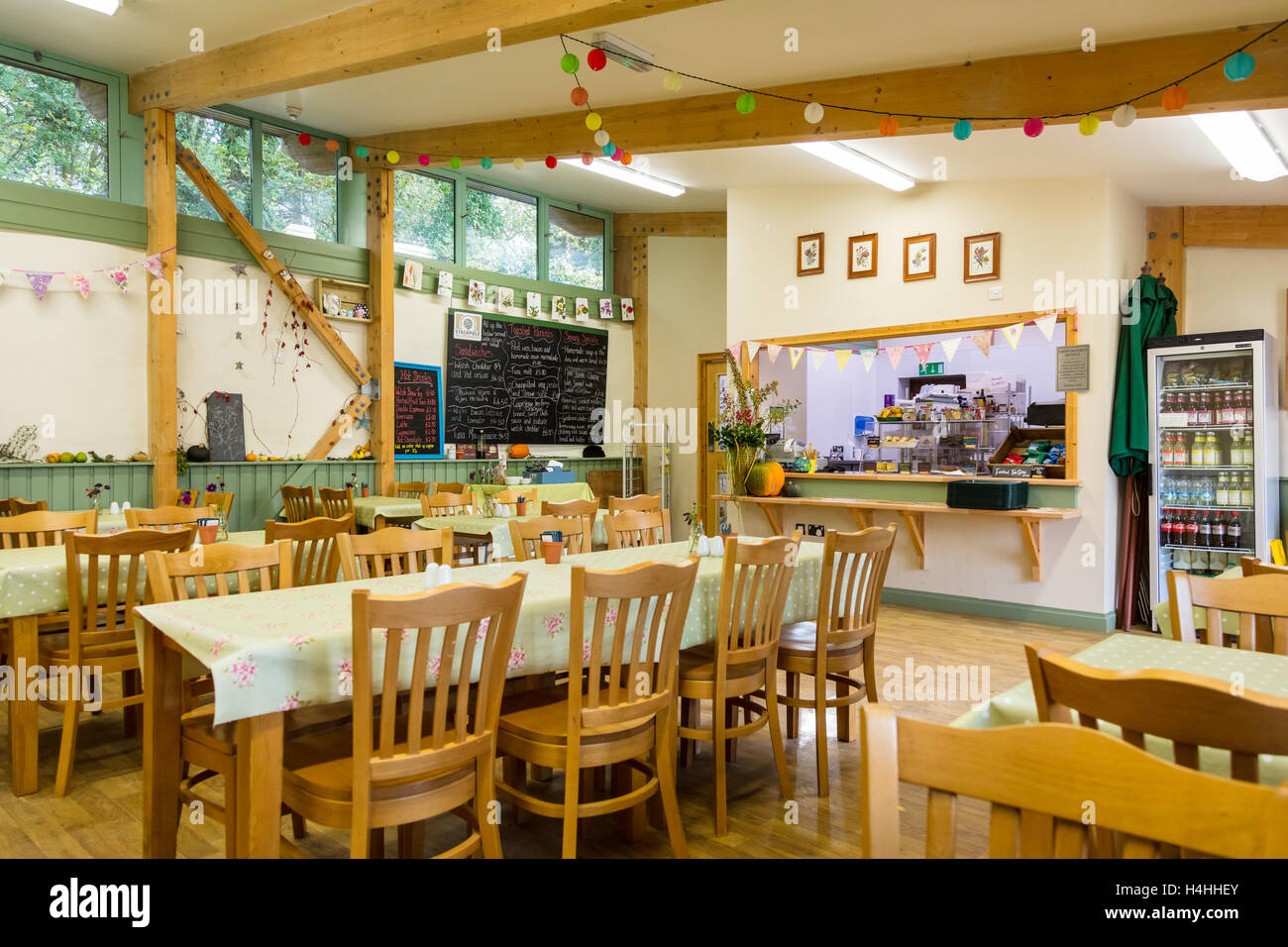 Cafe at Stackpole Walled Gardens, Pembrokeshire, Wales, UK Stock Photo ...