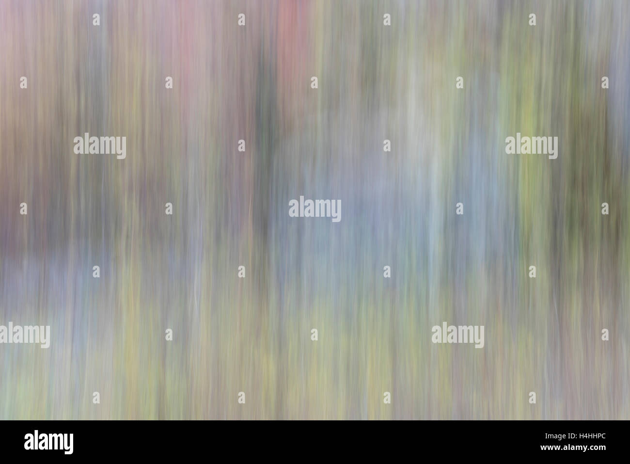 Creek in a sandstone canyon - nature motion blur abstract Stock Photo ...