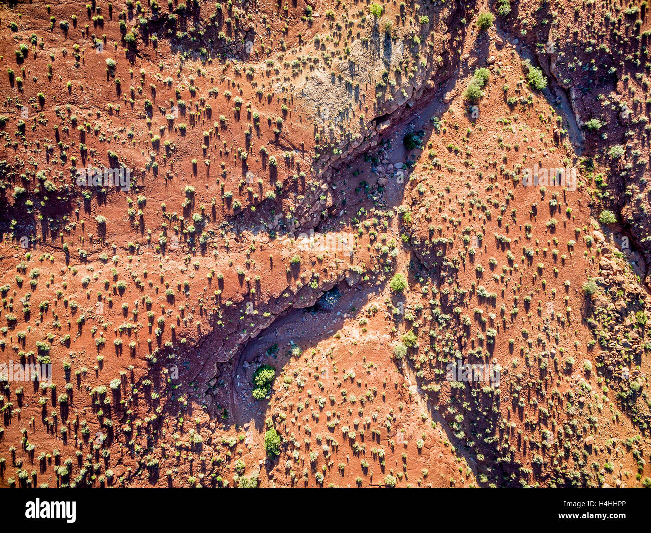 aerial view of a desert with a coarse vegetation near Moab, Utah ...