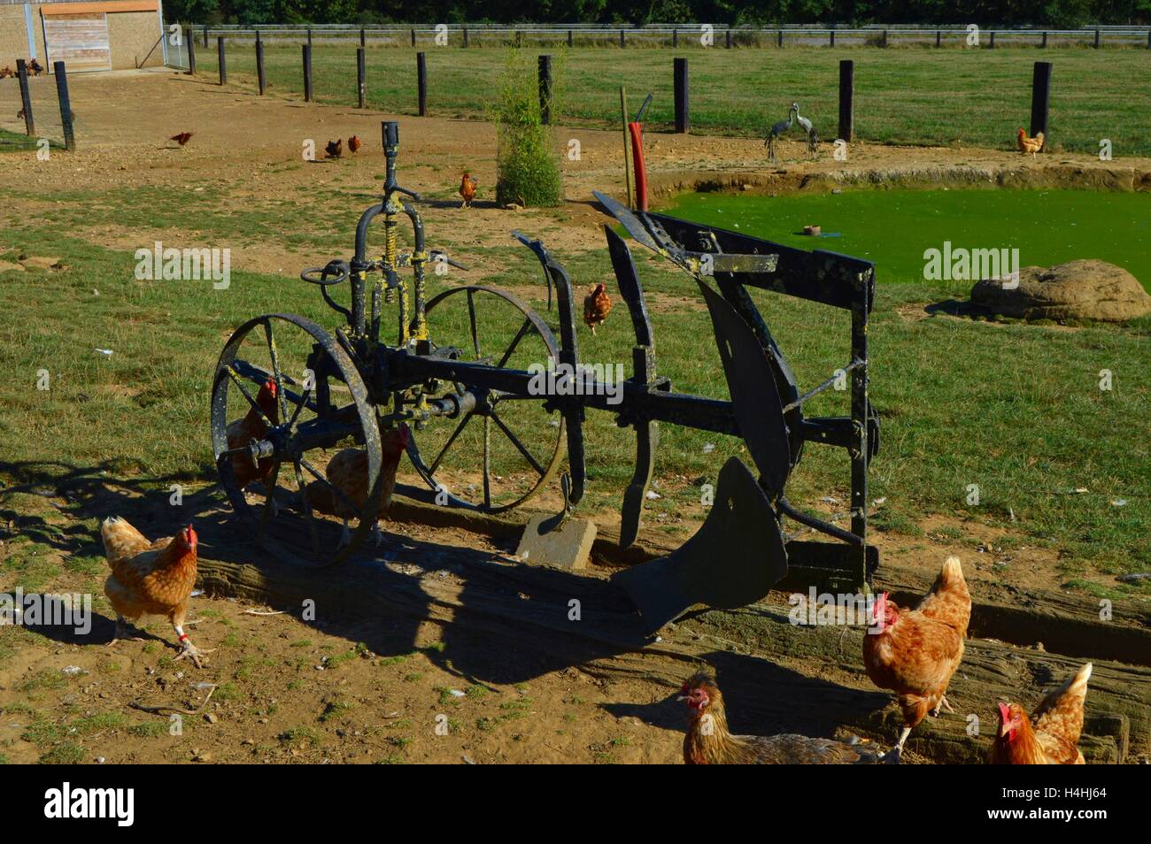 Plow with ploughshares current is made steel and consisted of one built ...