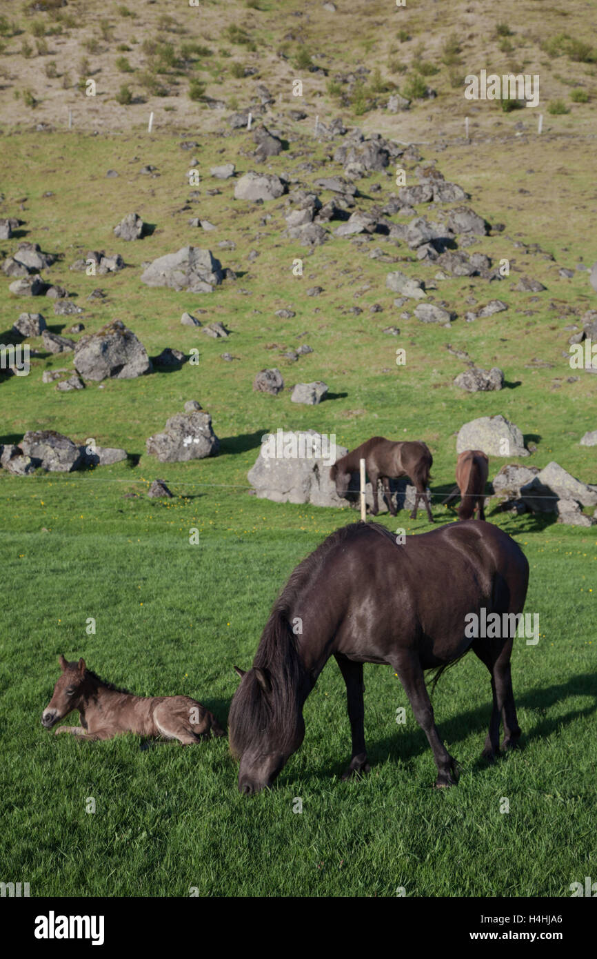 Mare tours hi-res stock photography and images - Alamy