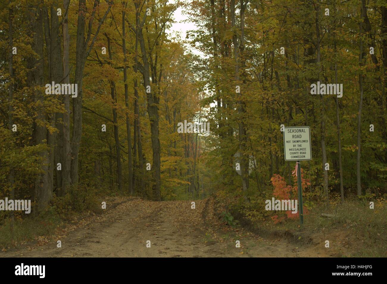 The road less traveled hi-res stock photography and images - Alamy