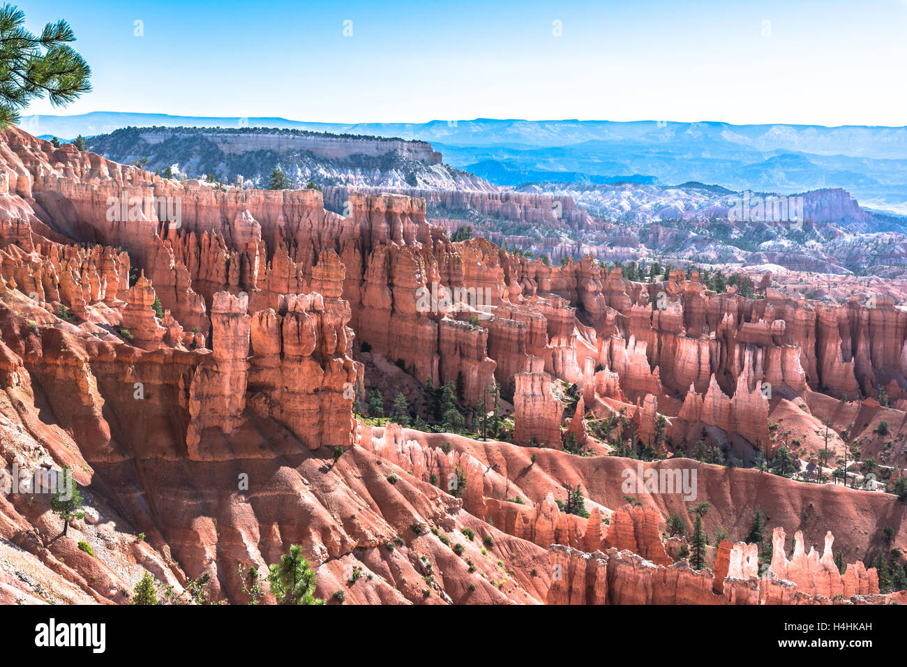 Bryce Canyon National Park, Utah Stock Photo - Alamy