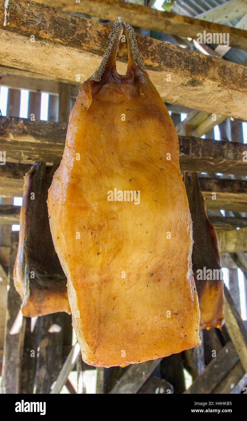 Iceland's fermented shark at Bjarnarhofn Shark Museum (drying house ...