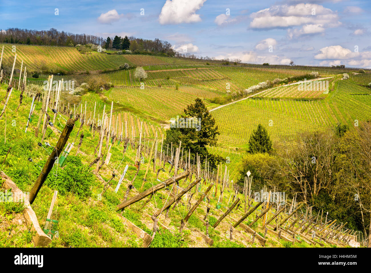 Haut rhin france hi-res stock photography and images - Alamy