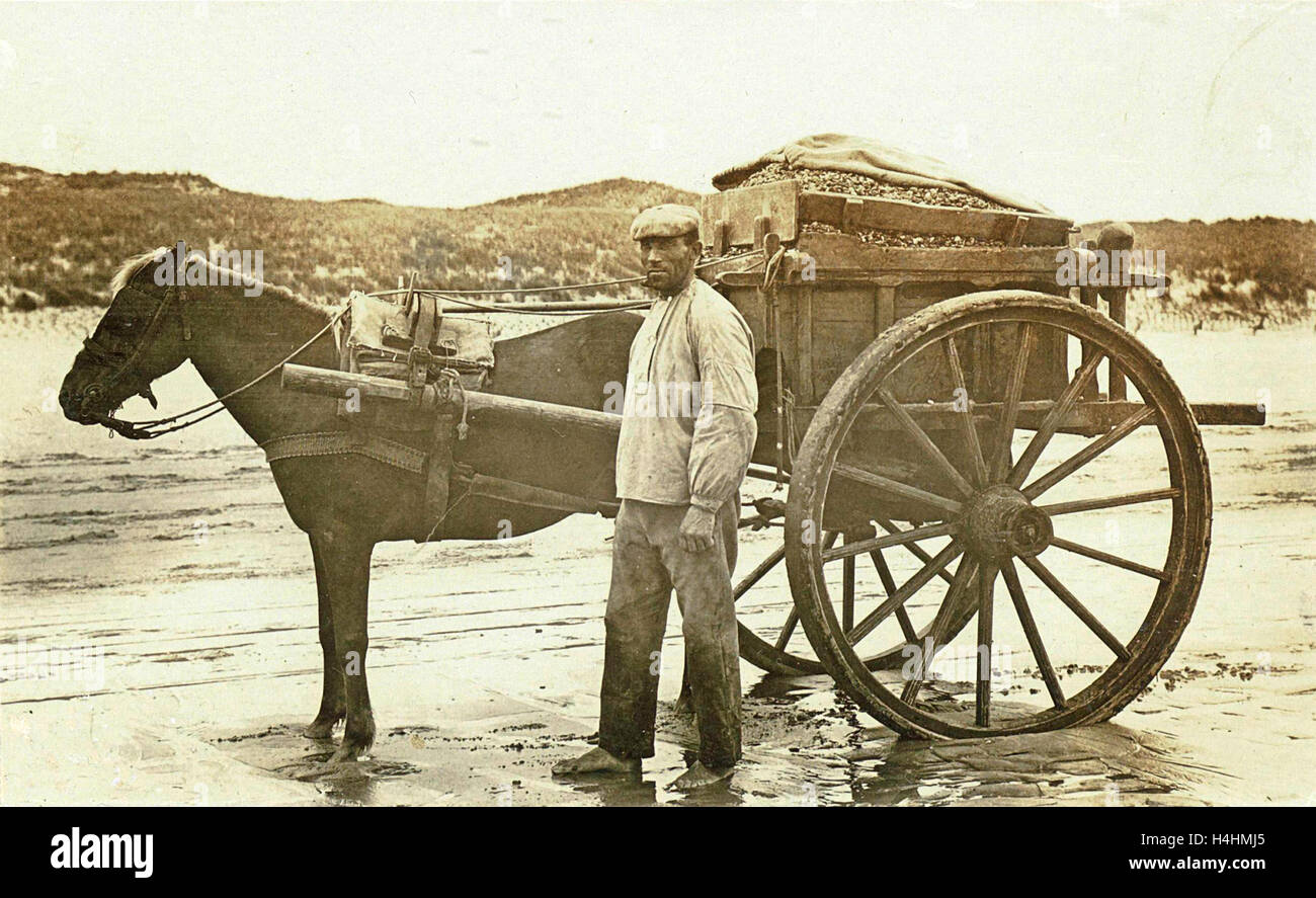 Man with A shell on the beach, Anonymous, c. 1900 - c. 1910 Stock Photo ...