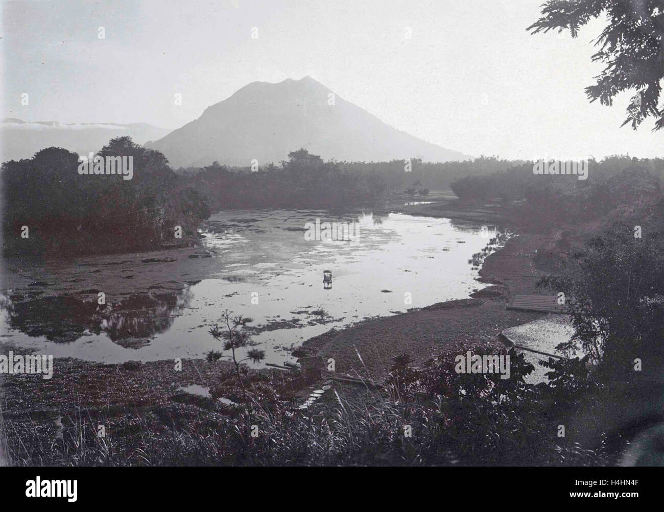 Preanger java hi-res stock photography and images - Alamy