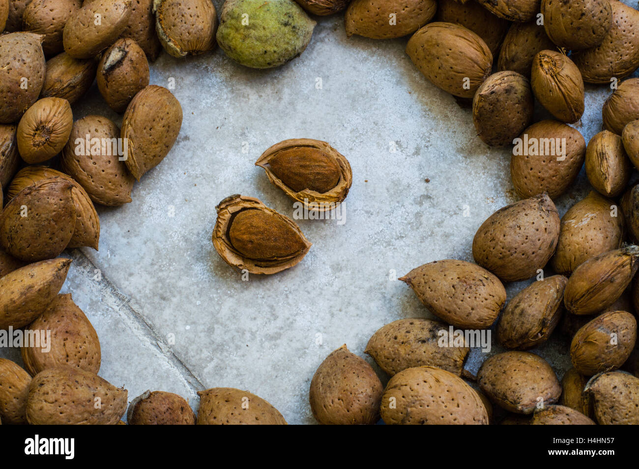 Fresh Organic Almonds With Shell on the Floor Stock Photo - Alamy