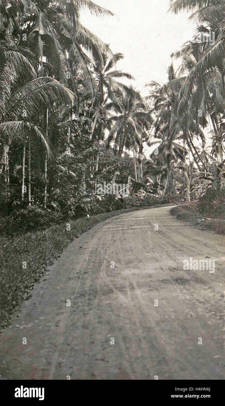 Java, Indonesia, away from Medan to Belawan, Anonymous, 1900 - 1920 ...