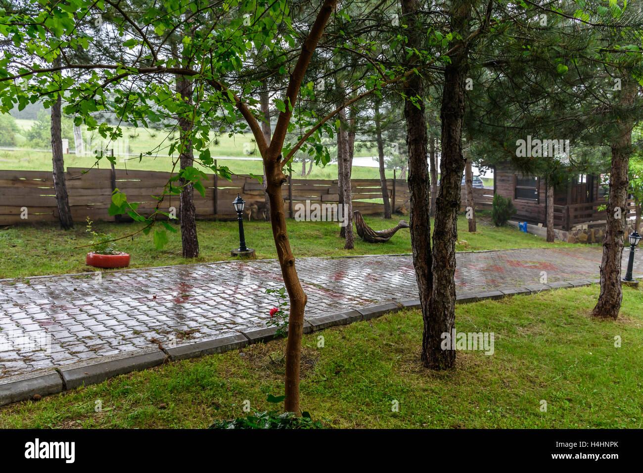 Path Park Grass Tree Rain High Resolution Stock Photography and Images ...