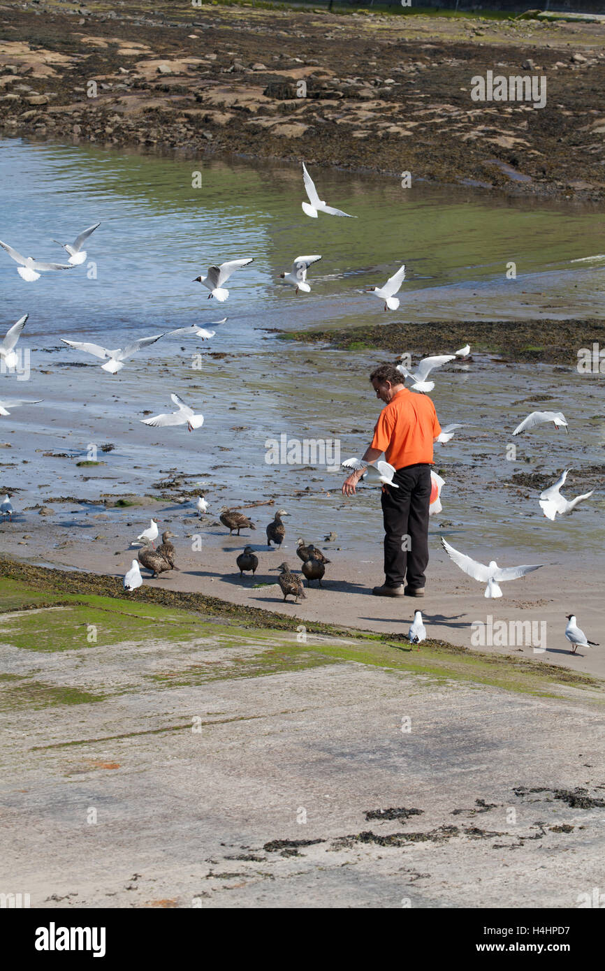 Man feeding ducks hi-res stock photography and images - Alamy