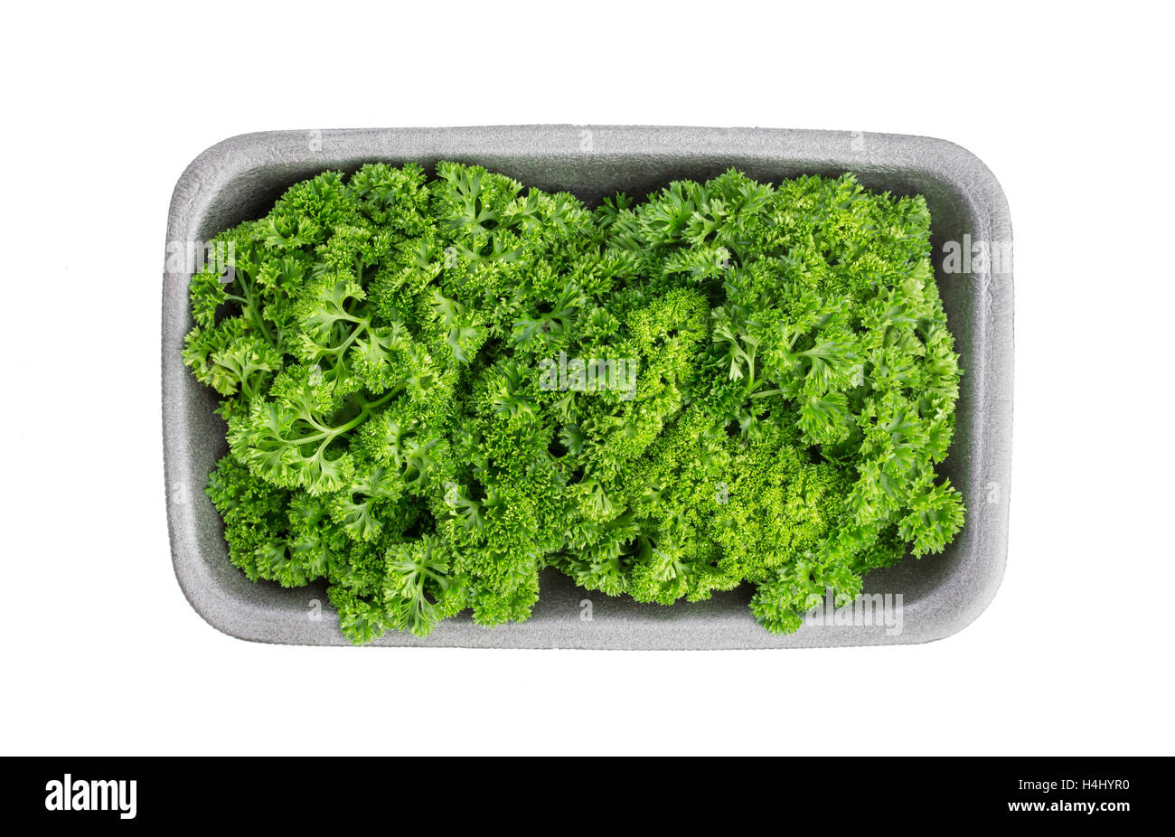 Parsley in plastic box isolated on white background, top view Stock ...