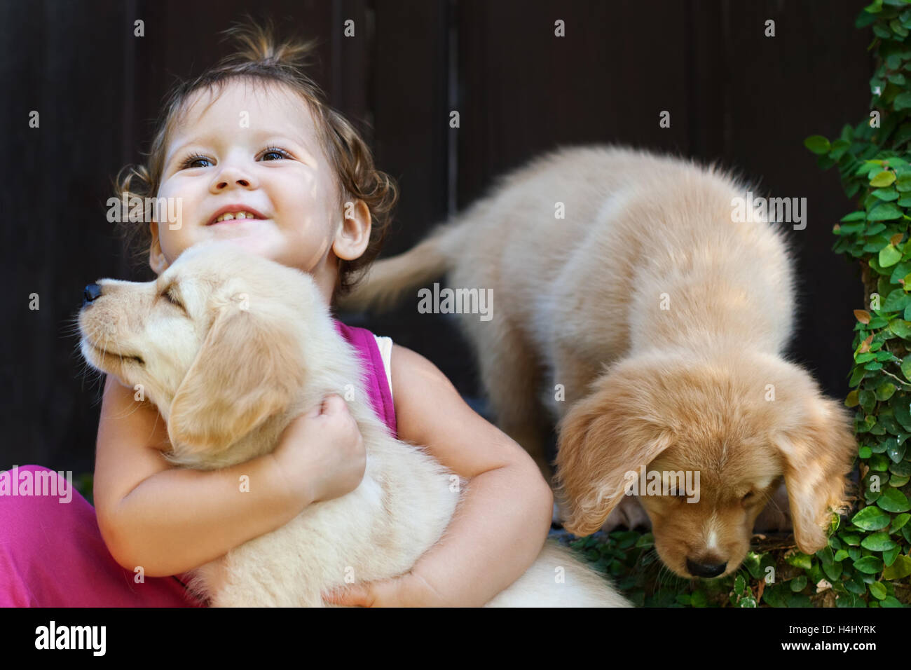 Funny photo of happy baby girl hug beautiful golden labrador retriever ...