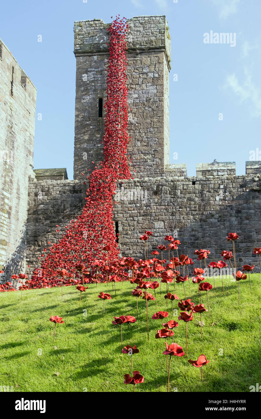 Weeping Window art sculpture of ceramic red poppies in Caernarfon ...
