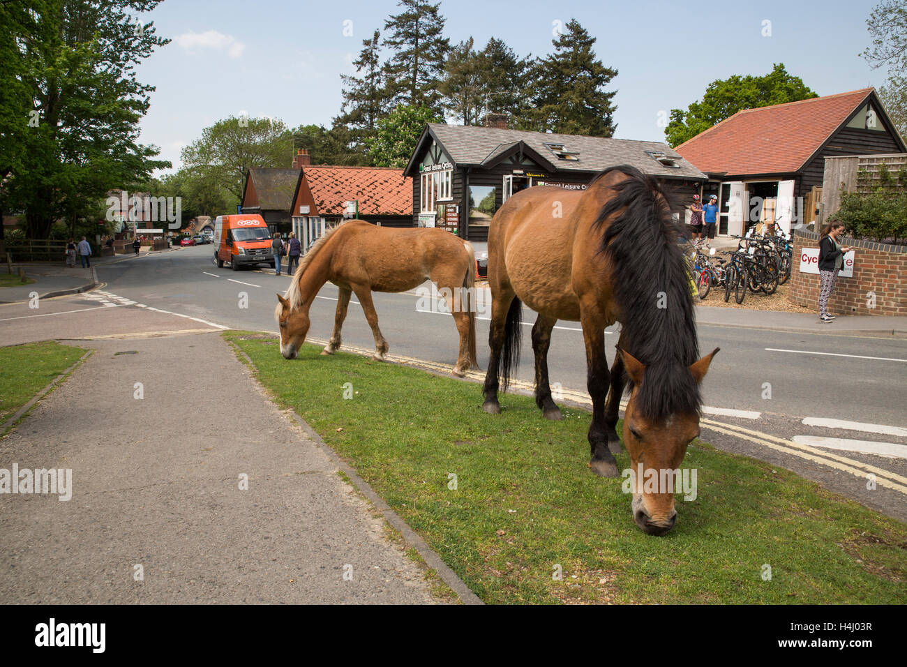 Burley new forest hi-res stock photography and images - Alamy
