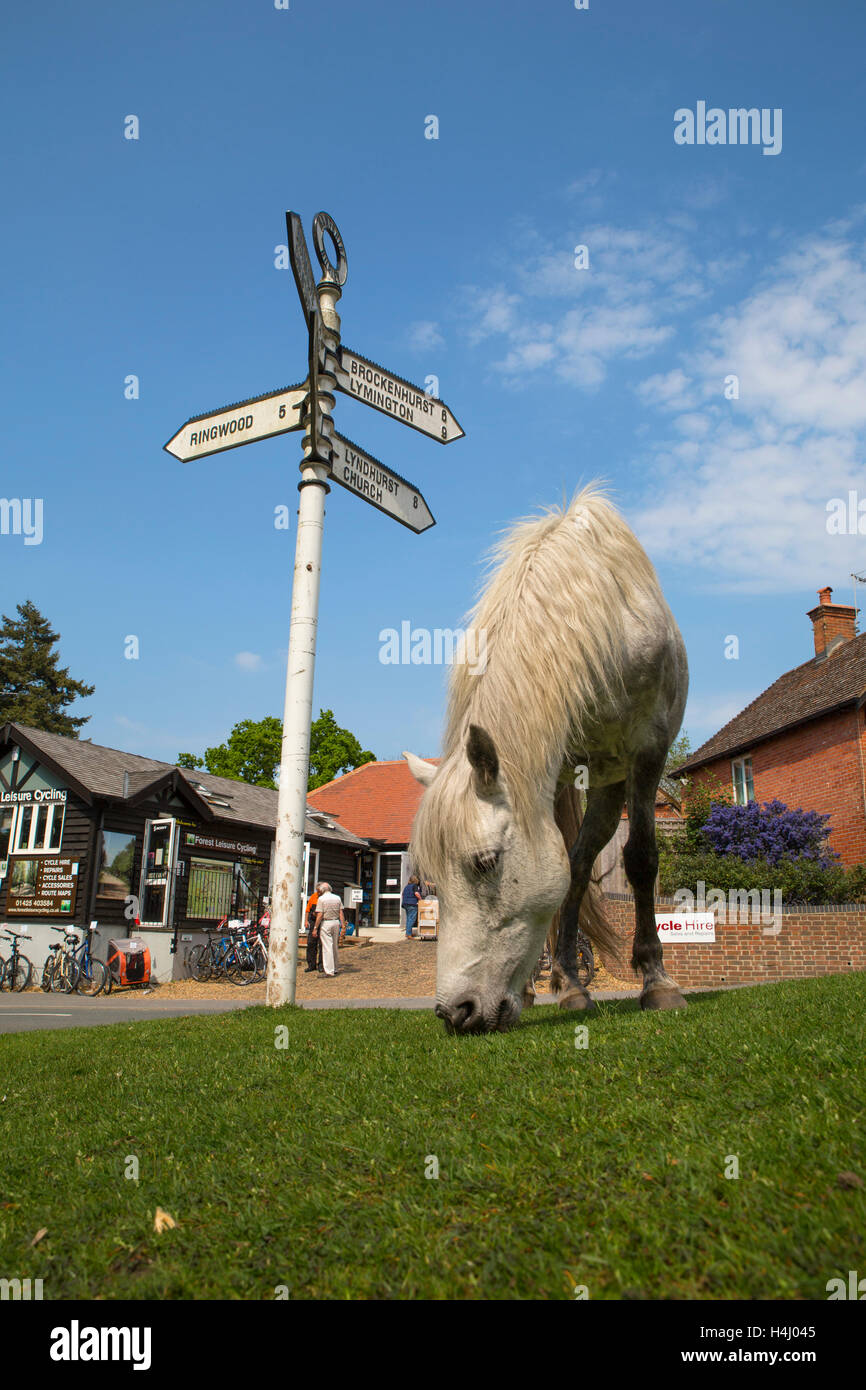 Burley hi-res stock photography and images - Alamy