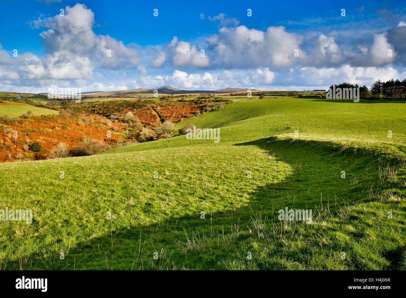 Devil's Leap; Brown Willy Distant; Bodmin Moor; Cornwall; UK Stock ...