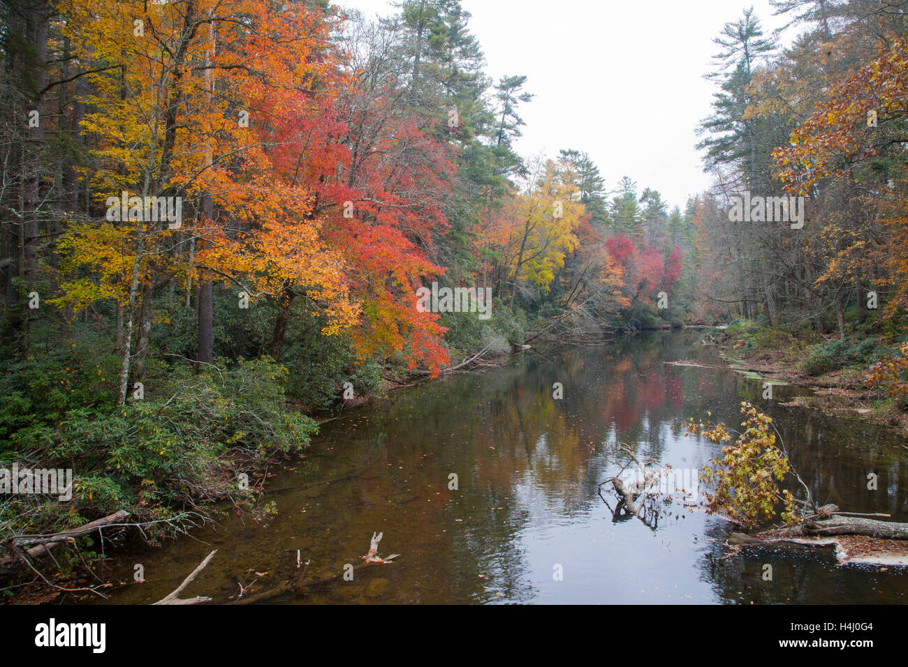 Colorful Autumn Trees over a River Stock Photo - Alamy