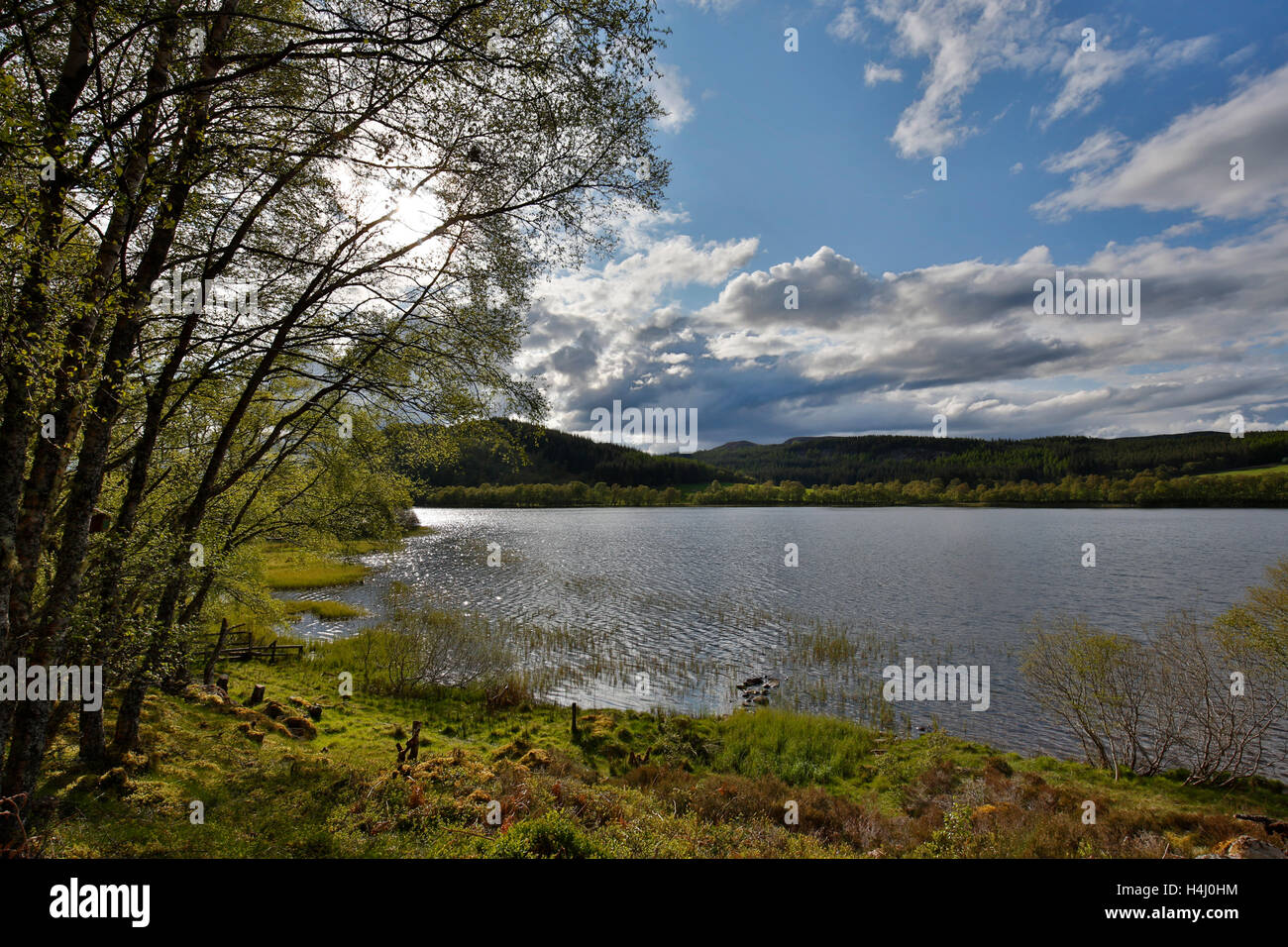 Loch Ruthven Stock Photos & Loch Ruthven Stock Images - Alamy
