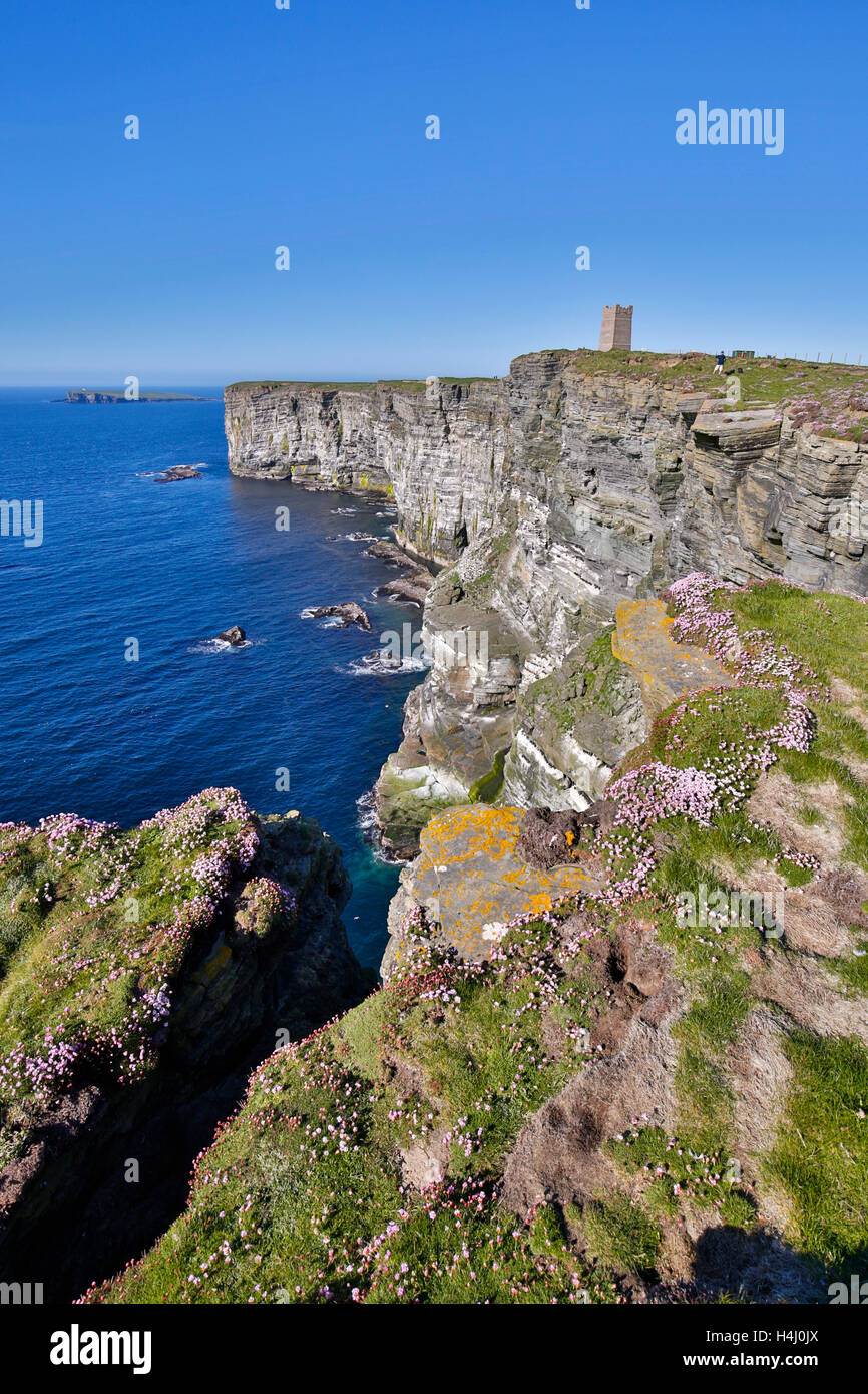 Marwick Head; Orkney; Scotland; UK Stock Photo - Alamy