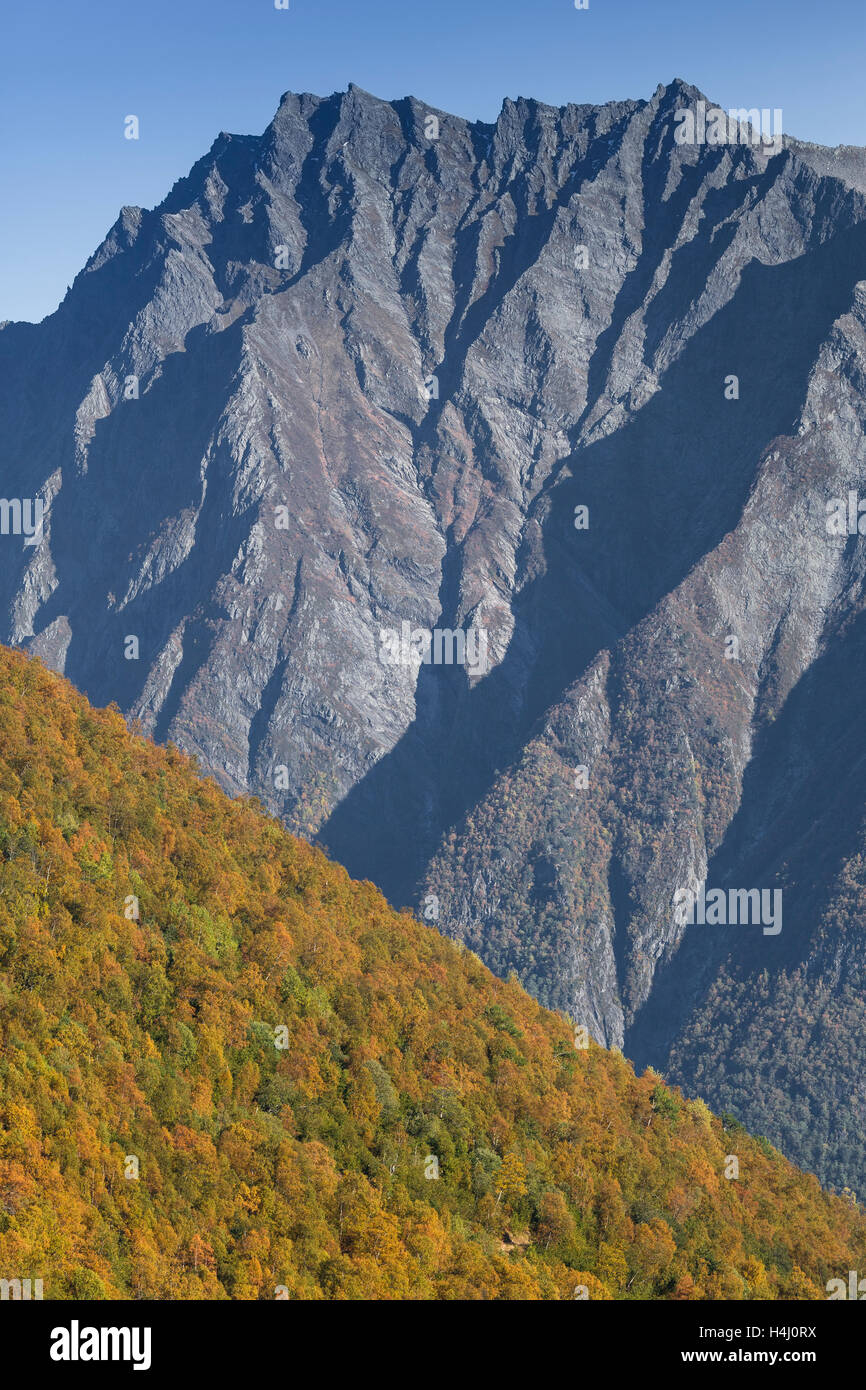 Overwhelming colors hi-res stock photography and images - Alamy