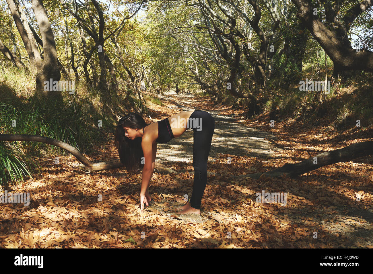 Woman practicing yoga in various poses (asana) in the forest Stock ...