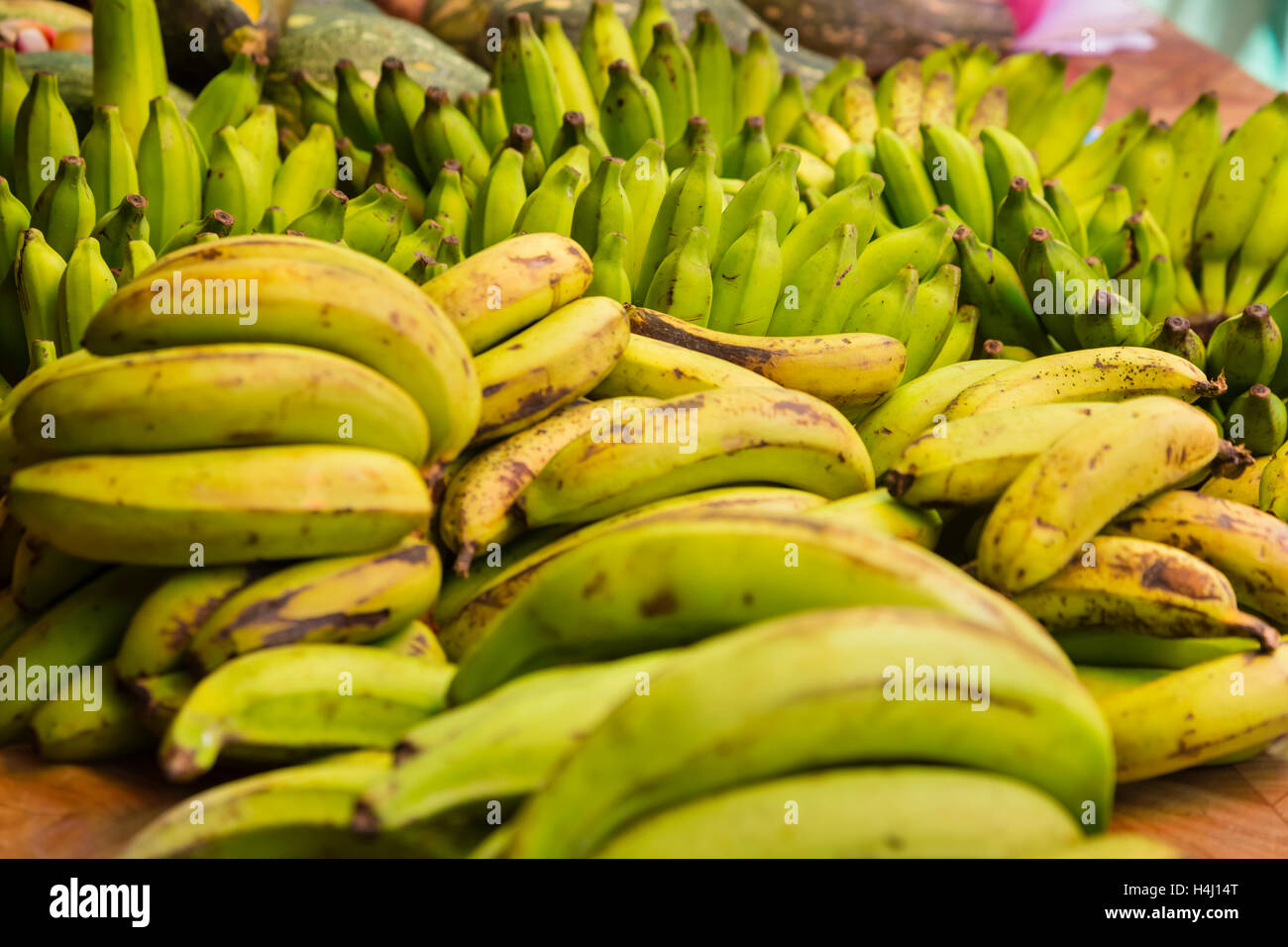 Lots of bananas at the market in Victoria in Mahe, Seychelles Stock ...
