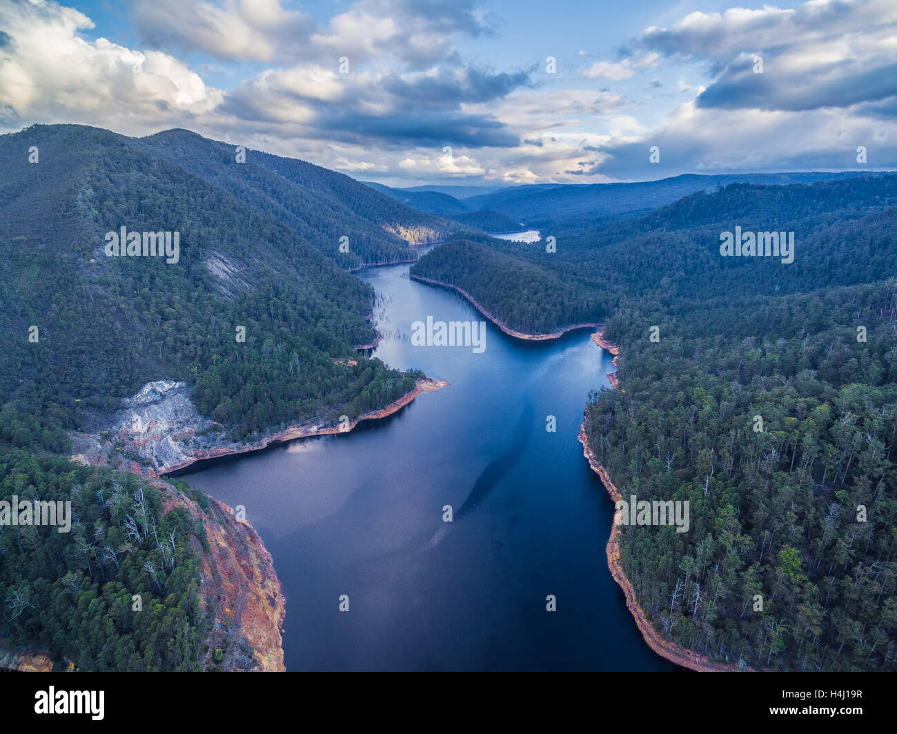 Beautiful Cethana lake aerial view. Cethana, Tasmania, Australia Stock ...