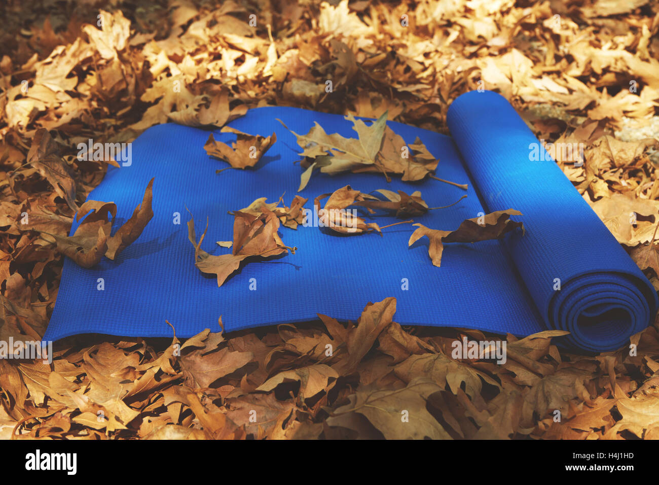 Close up view of blue open yoga mat for exercise, isolated in the ...