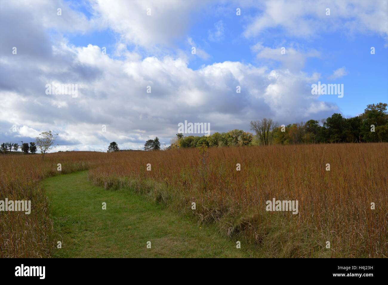 Path Through the Prairie Stock Photo - Alamy