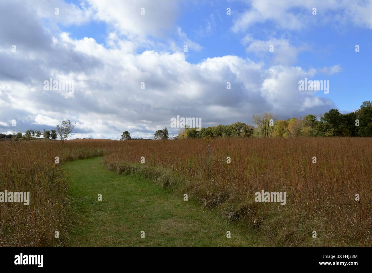 Path Through the Prairie Stock Photo - Alamy
