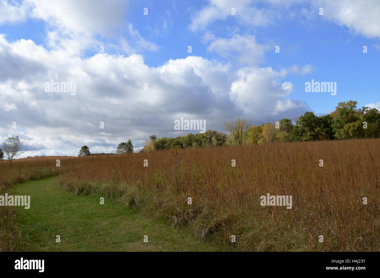 Path Through the Prairie Stock Photo - Alamy